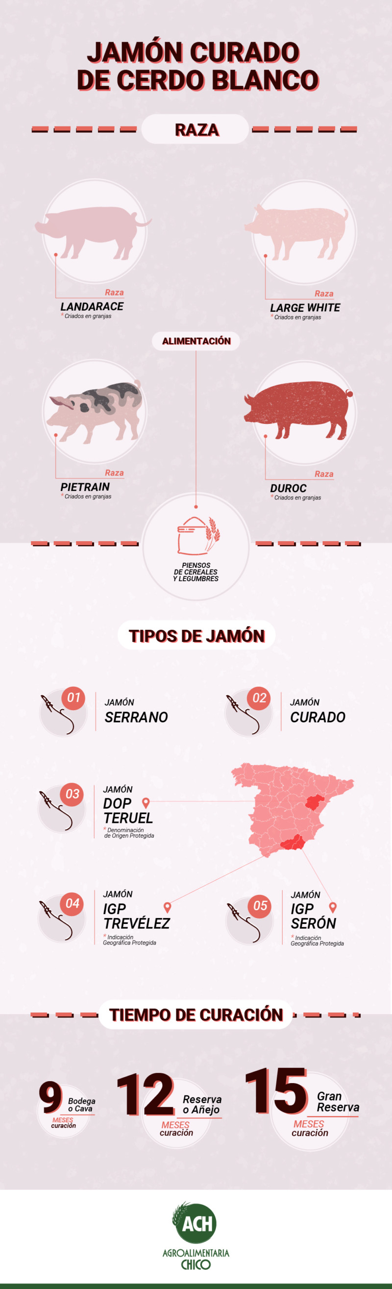 Tipos de jamón en España: características - Agroalimentaria