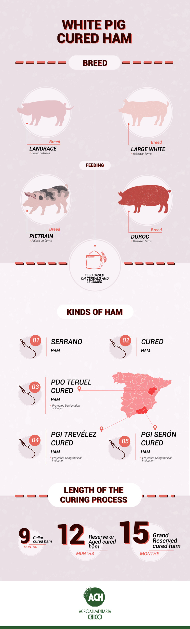 Kinds of cured ham in Spain: characteristics